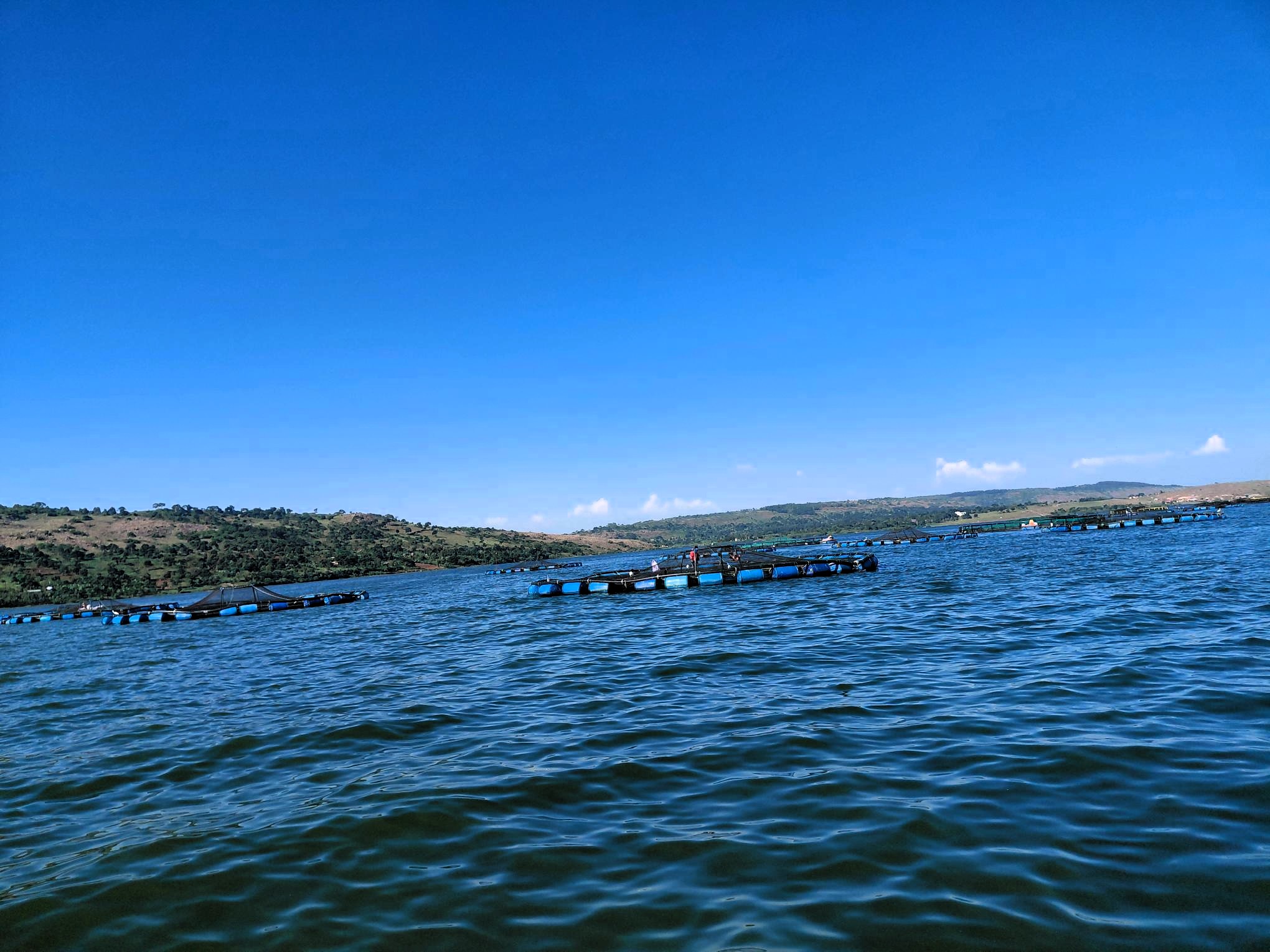 Driving Aquaculture Genetic Innovation in Africa: A Strategic Visit to ...